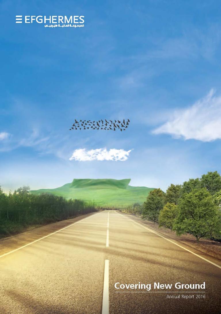 Annual Reports | EFG Holding